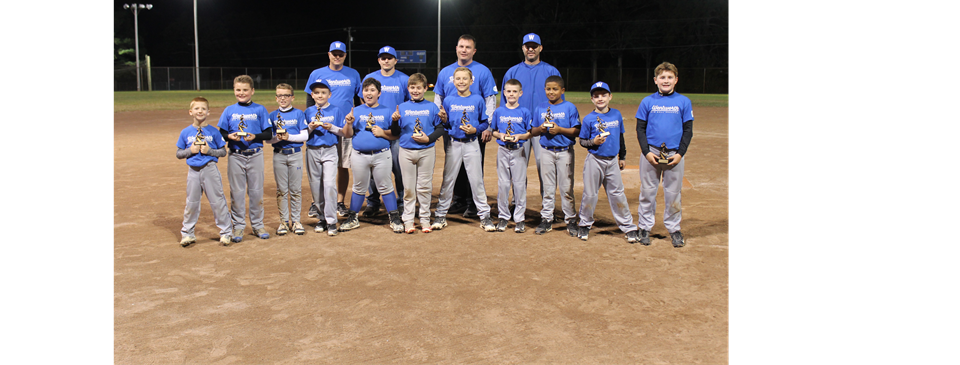 Wentworth PTA Ball Program > Home